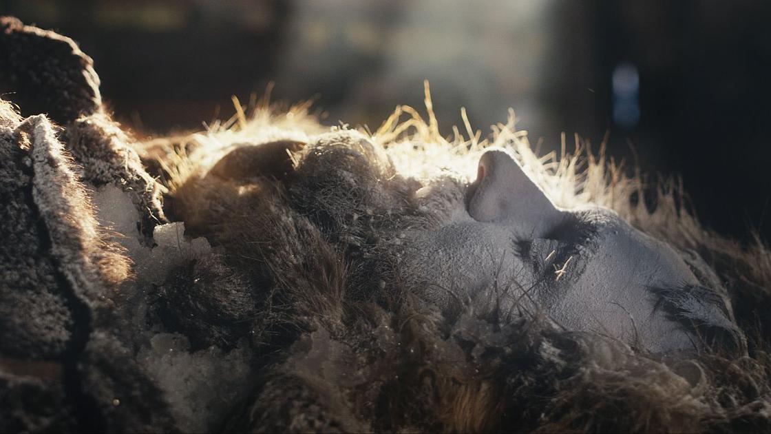 Cold Storage | 2017 Indy Film Fest